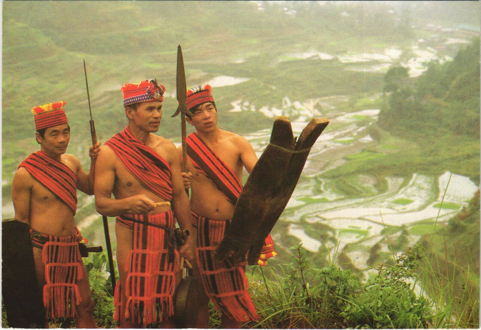 PC Philippines, Famous Batad Rice Terraces, Modern Postcard (B40282 ...