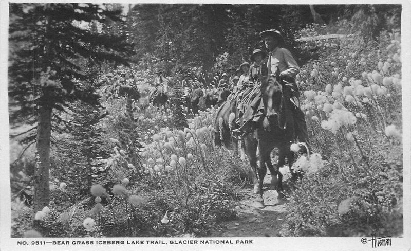 Montana Hileman 1920s Glacier National Trail Bear Grass Photo Postcard ...