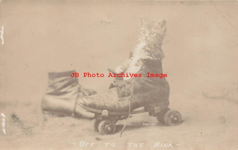 Studio Shot, RPPC, Kitten Relaxing in a Roller Skate, Off to the Rink ...