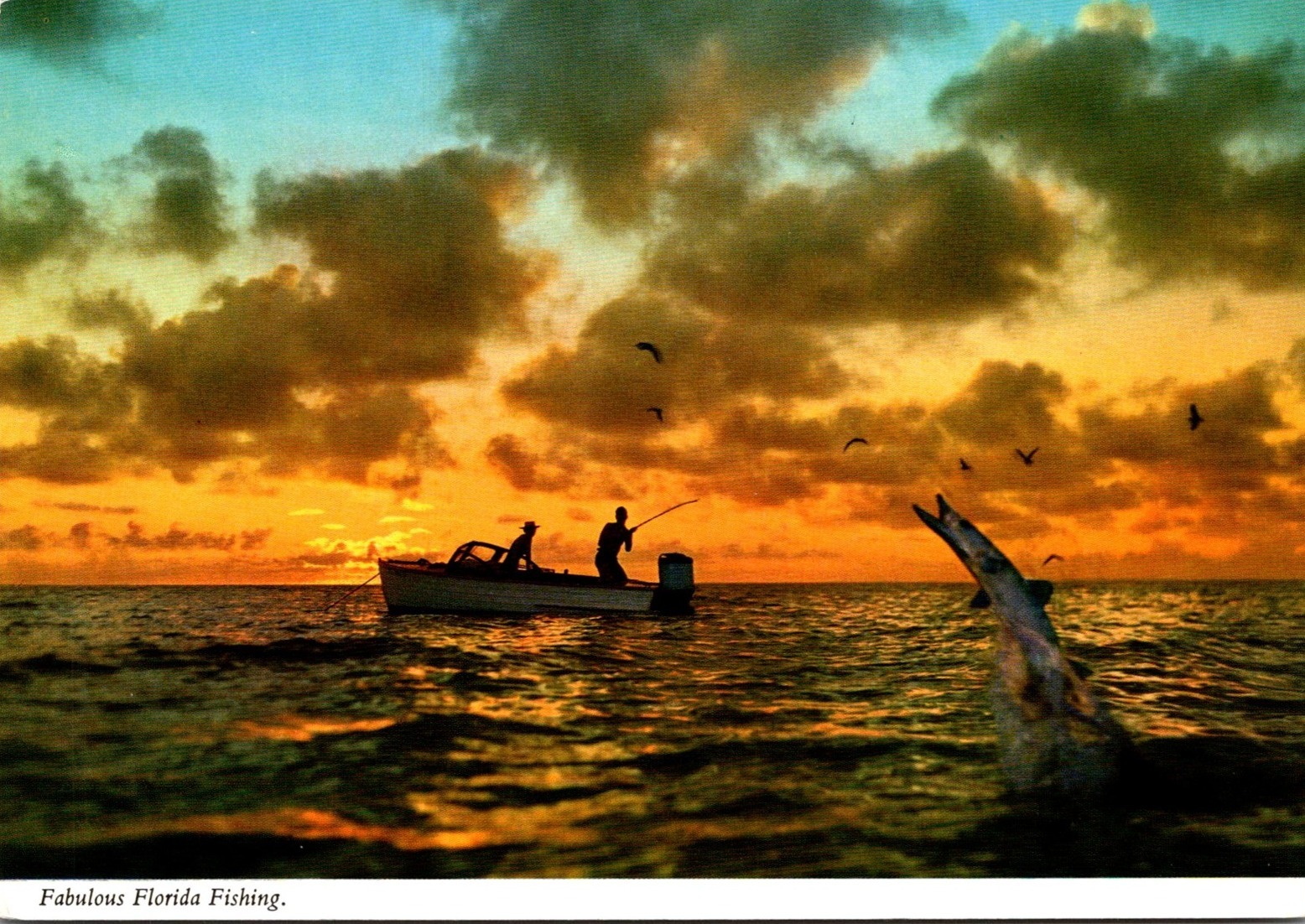 Florida Keys Fabulous Fishing Scene | United States - Florida - Key ...