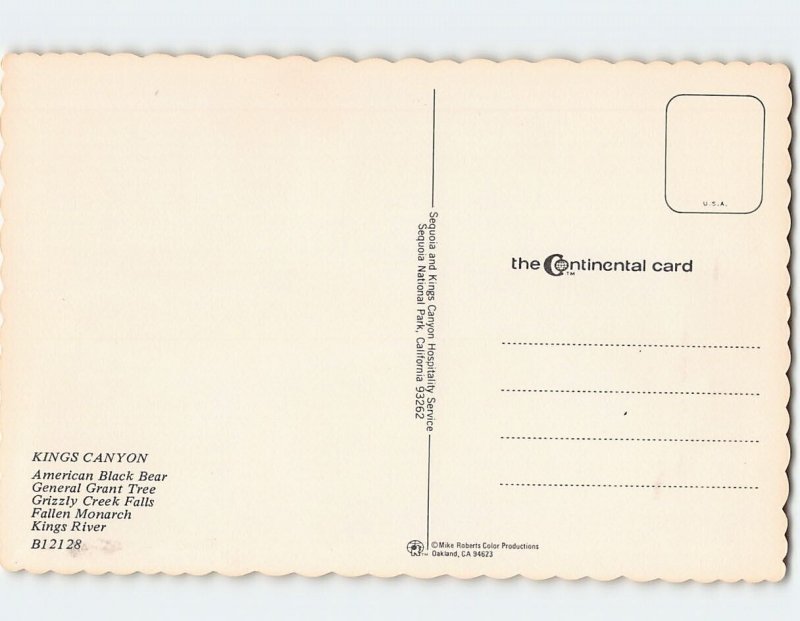 Postcard Kings Canyon National Park Land of the Giants California USA ...