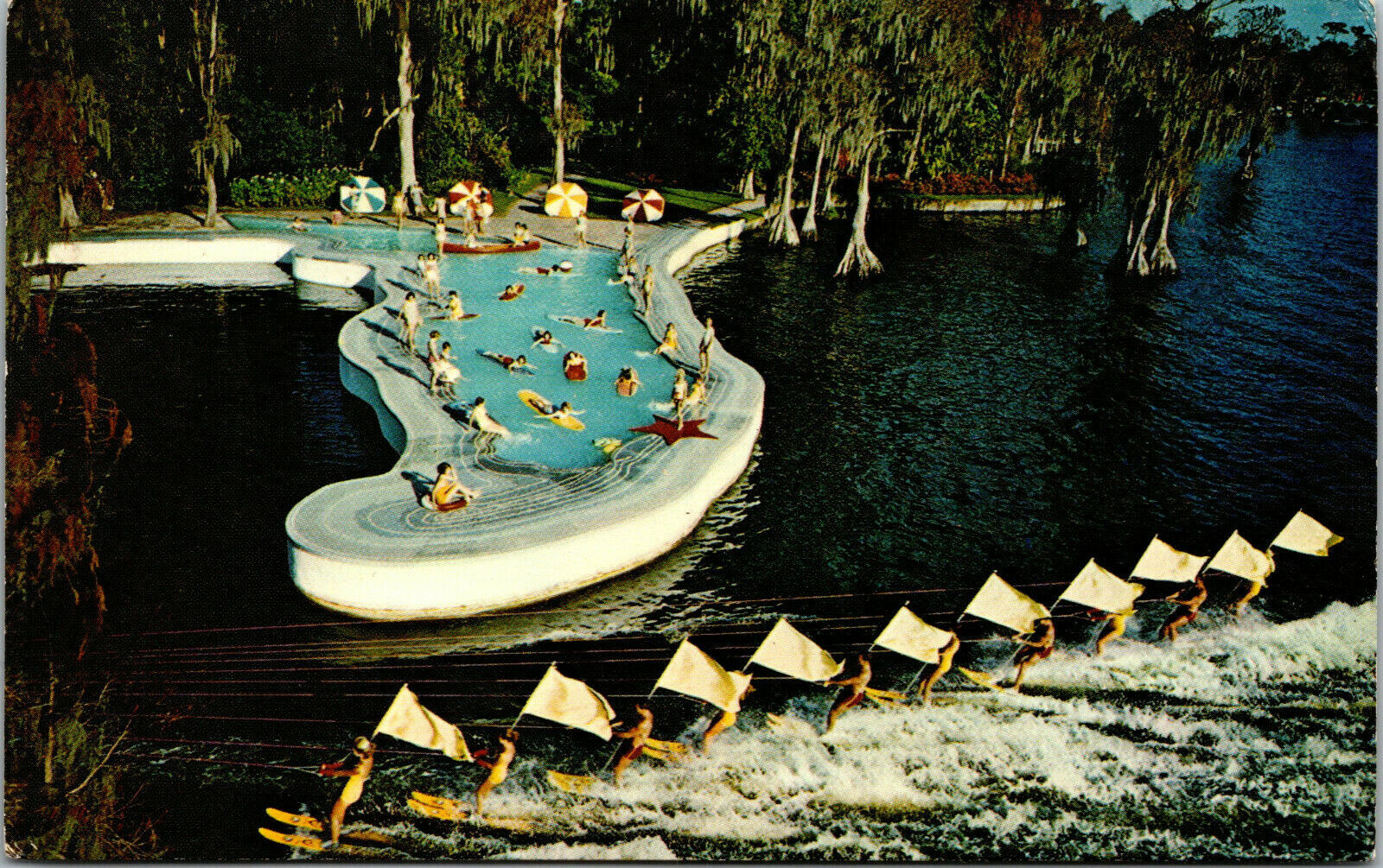 Vtg Ester Williams Swimming Pool Lake Eloise Cypress Gardens Florida FL ...