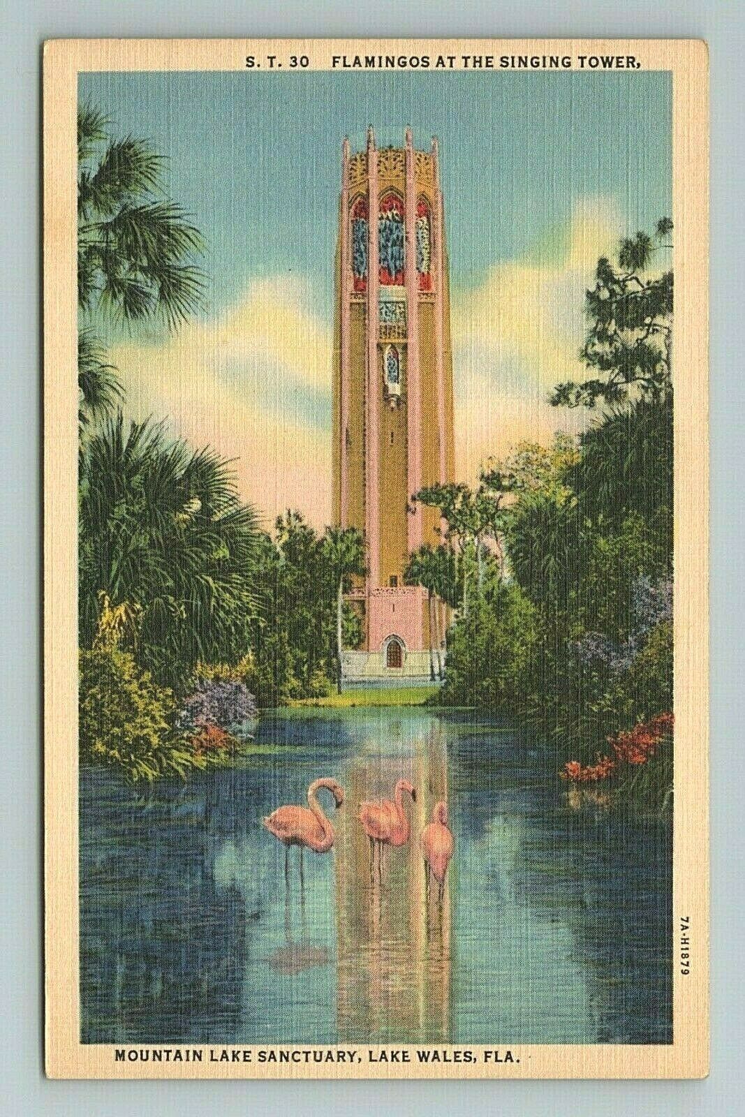 Mountain Lake Sanctuary Singing Tower Pink Flamingo Lake Wales FL ...