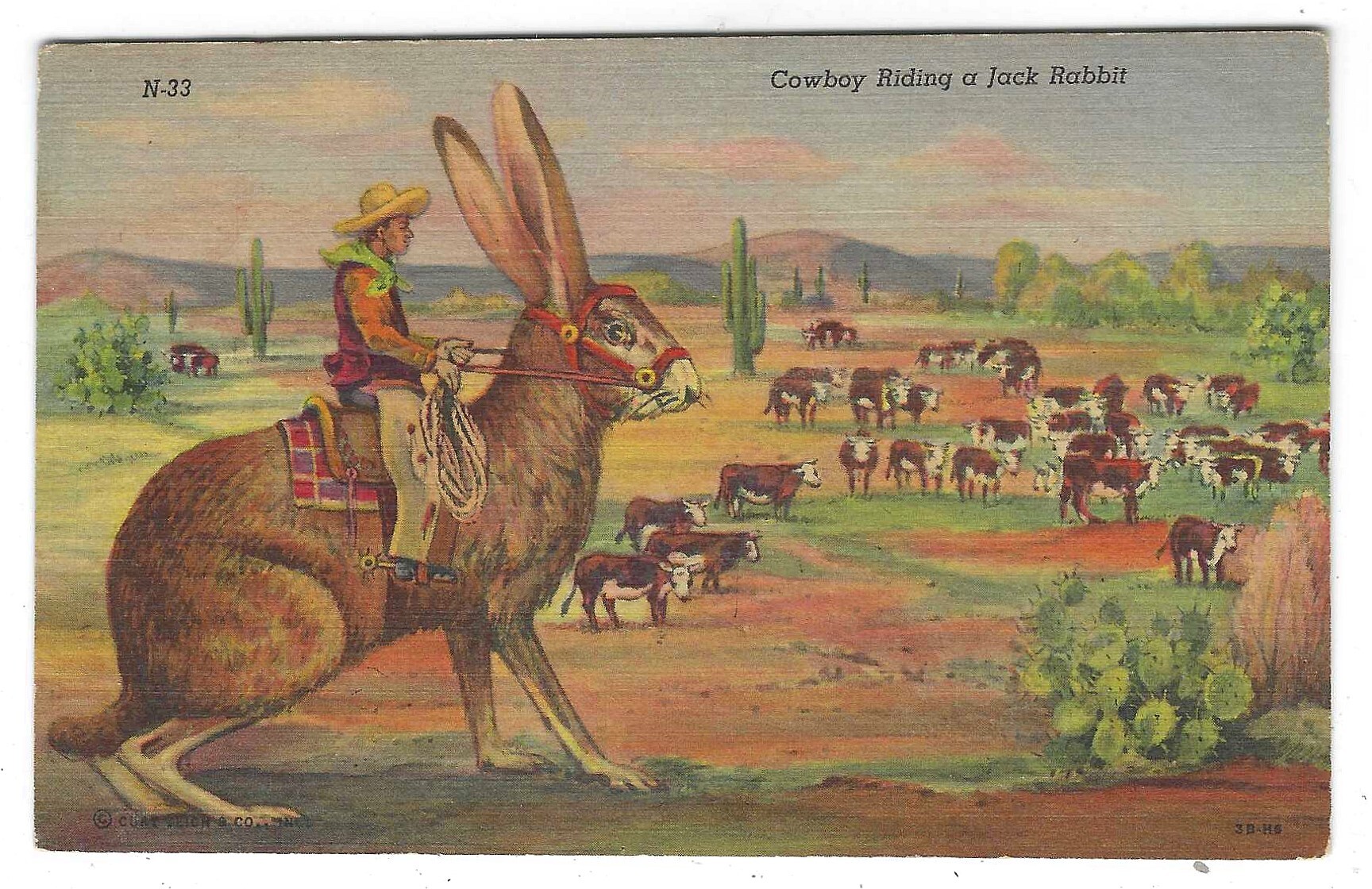 Cowboy riding a Jack Rabbit, linen postcard | Topics - Cartoons ...