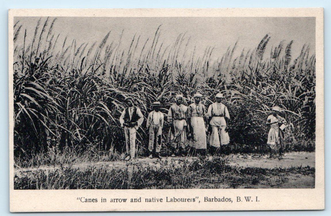 2 Postcards BARBADOS, B.W.I. ~ Sugar Cane NATIVE LABOURERS Government ...