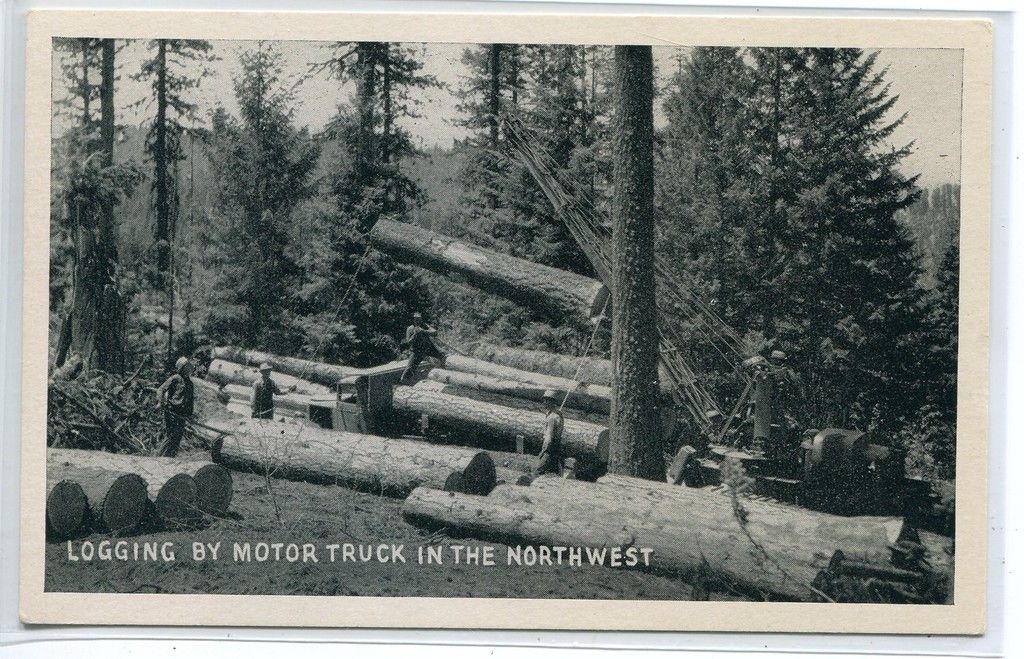 Loading Logging Truck in Pacific Northwest 1950s postcard | United ...