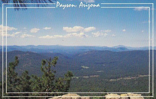 View From The Rim In The Arizona White Mountains Payon Arizona | United ...