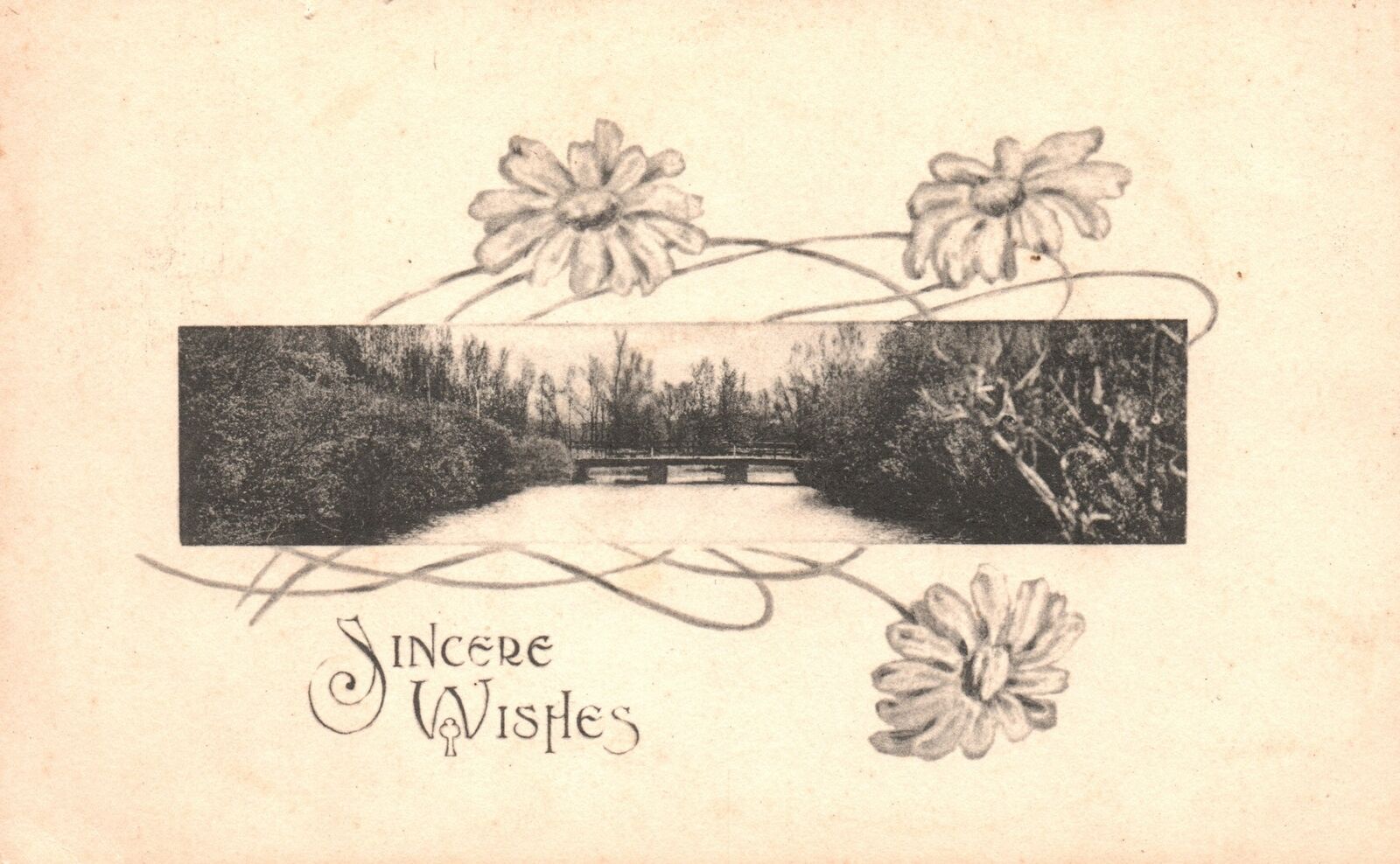 Vintage Postcard 1913 Sincere Wishes Greetings Black & White Flowers ...