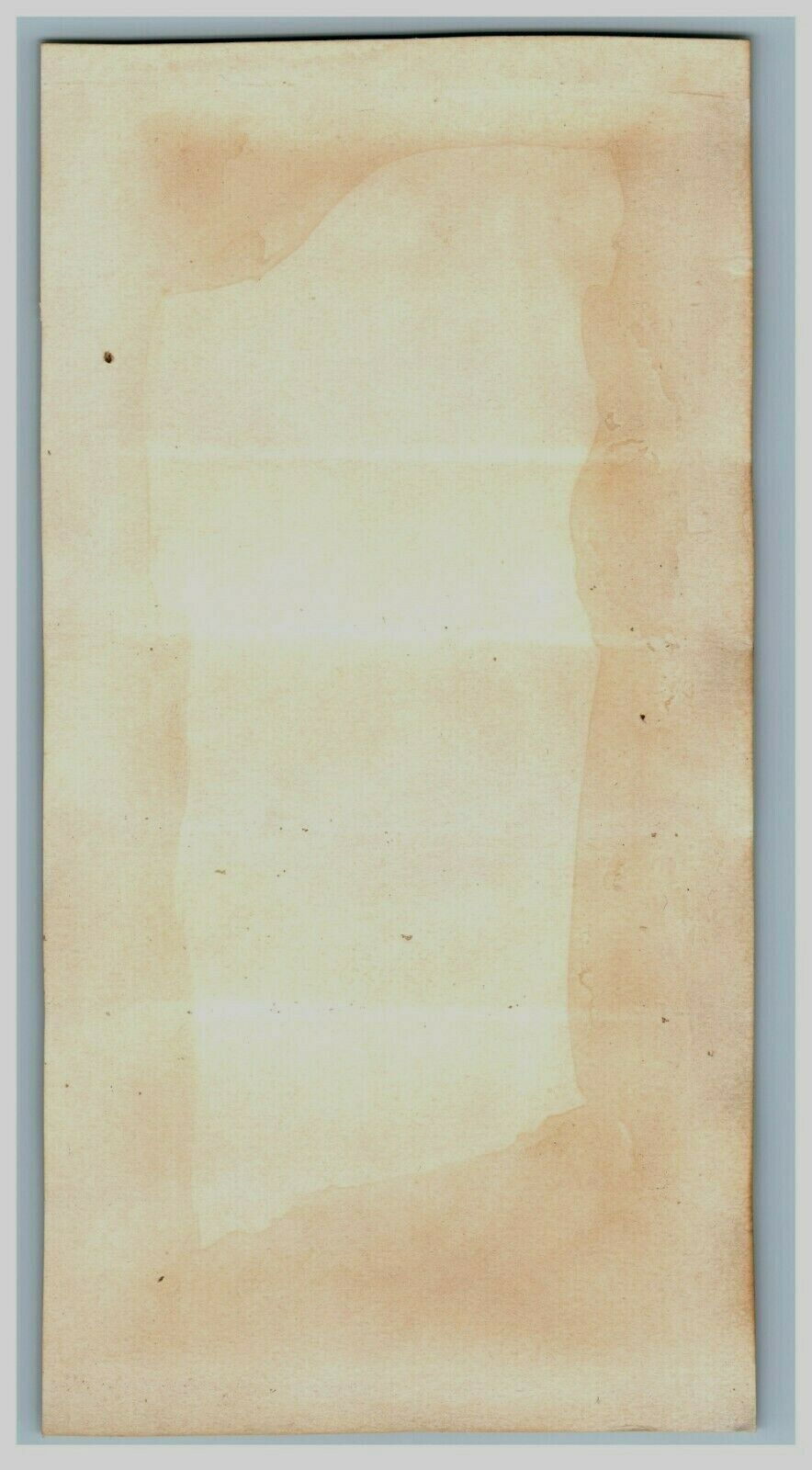 1893 Victorian Trade Card Beautiful Wild Birds Sparrows? #5G | Ephemera ...