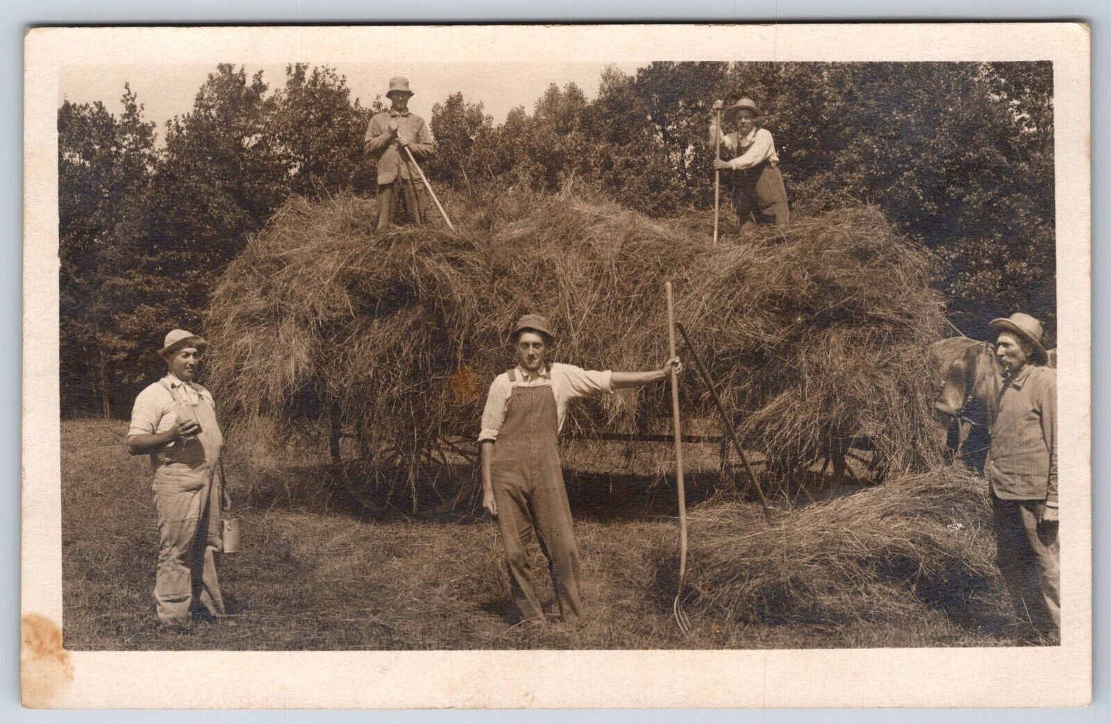 Farmers Load Hay Wagon Using Pitchforks~Stop For Drink & Picture~RPPC ...