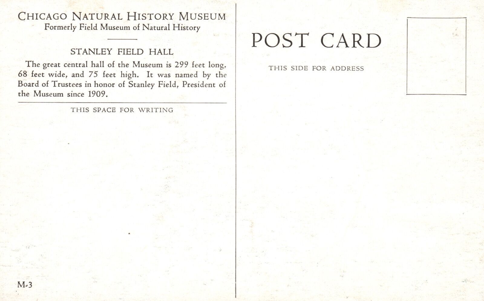 Vintage Postcard Stanley Field Hall Chicago Natural History Museum ...