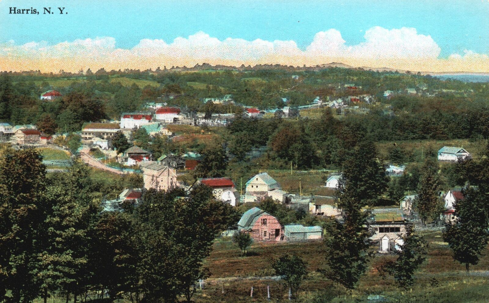 Vintage Postcard Prospect Houses At Harris Hill Harris New York Otto ...