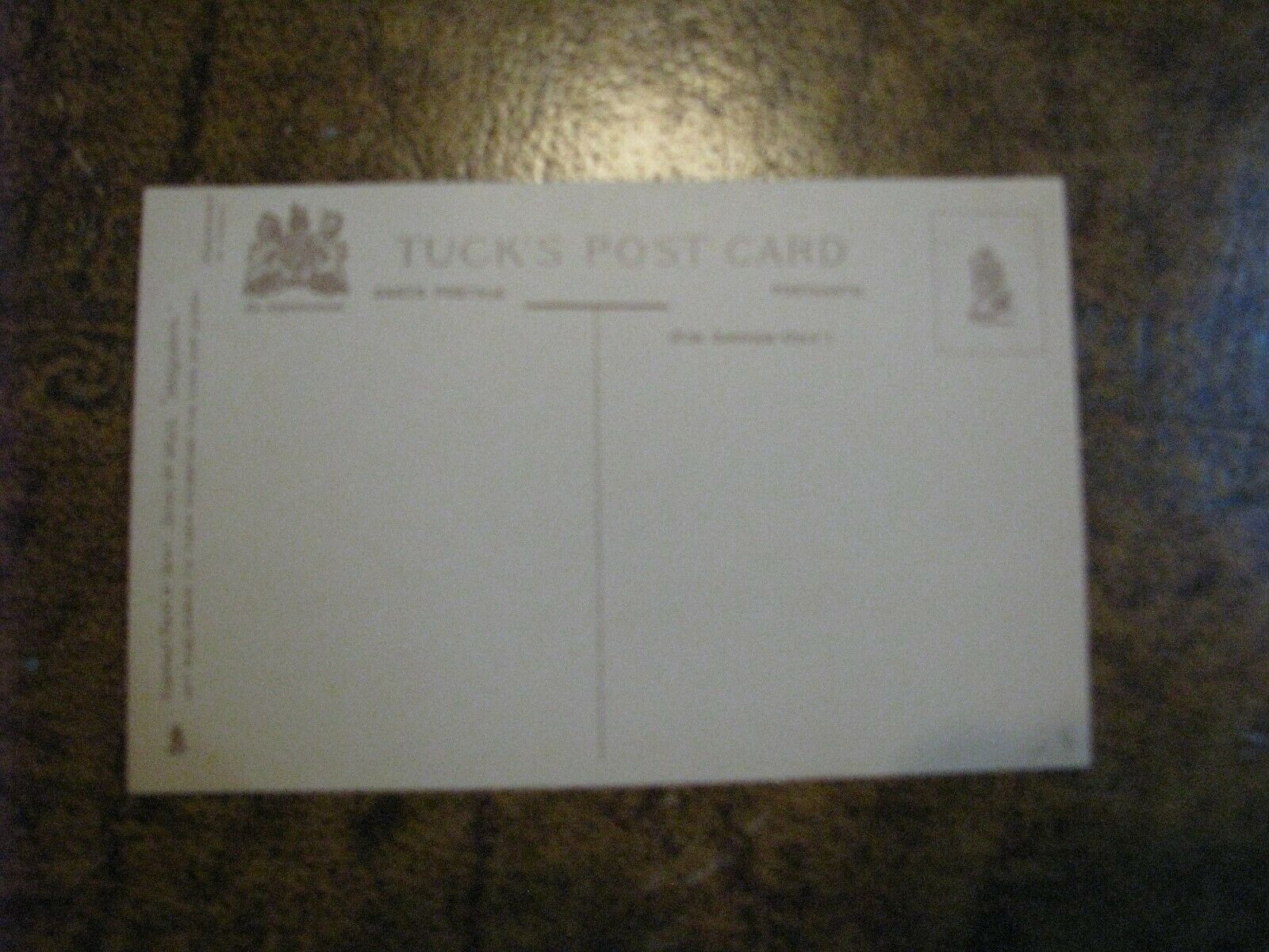 Vintage Alligator Postcard Tuck Series #2645 "Look Pleasant" Unused ...