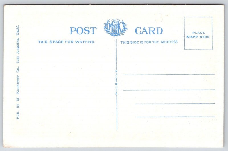 Vintage Postcard Modern House Homes Building Balboa Park San Diego ...