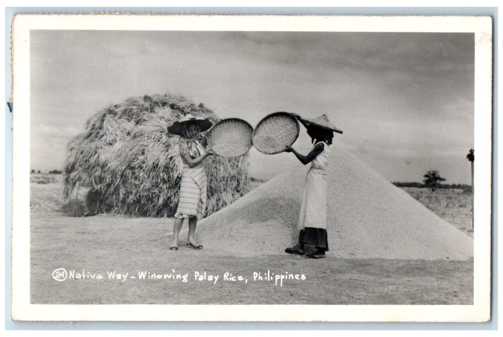 1947 Native Way Winowing Palay Rice Field Philippines Posted RPPC Photo ...