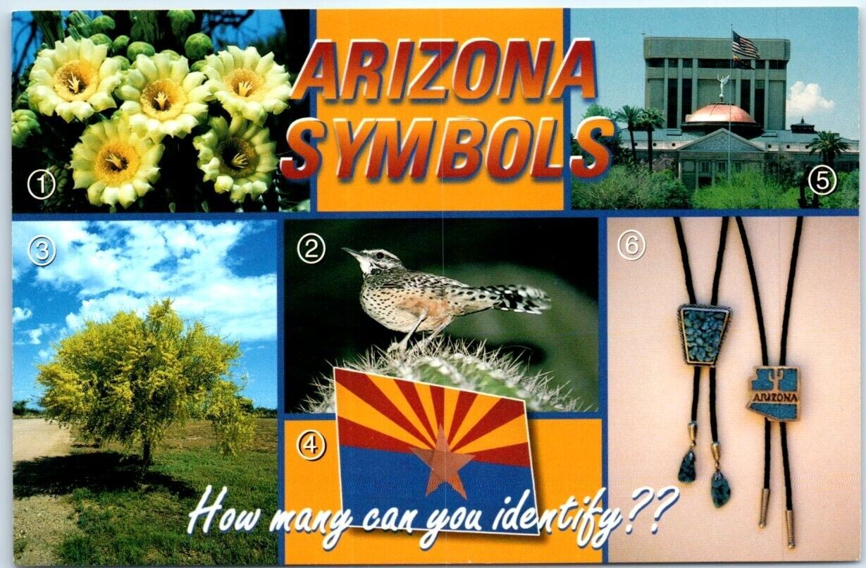 Postcard - Arizona Symbols, How many can you identify?? - Arizona ...