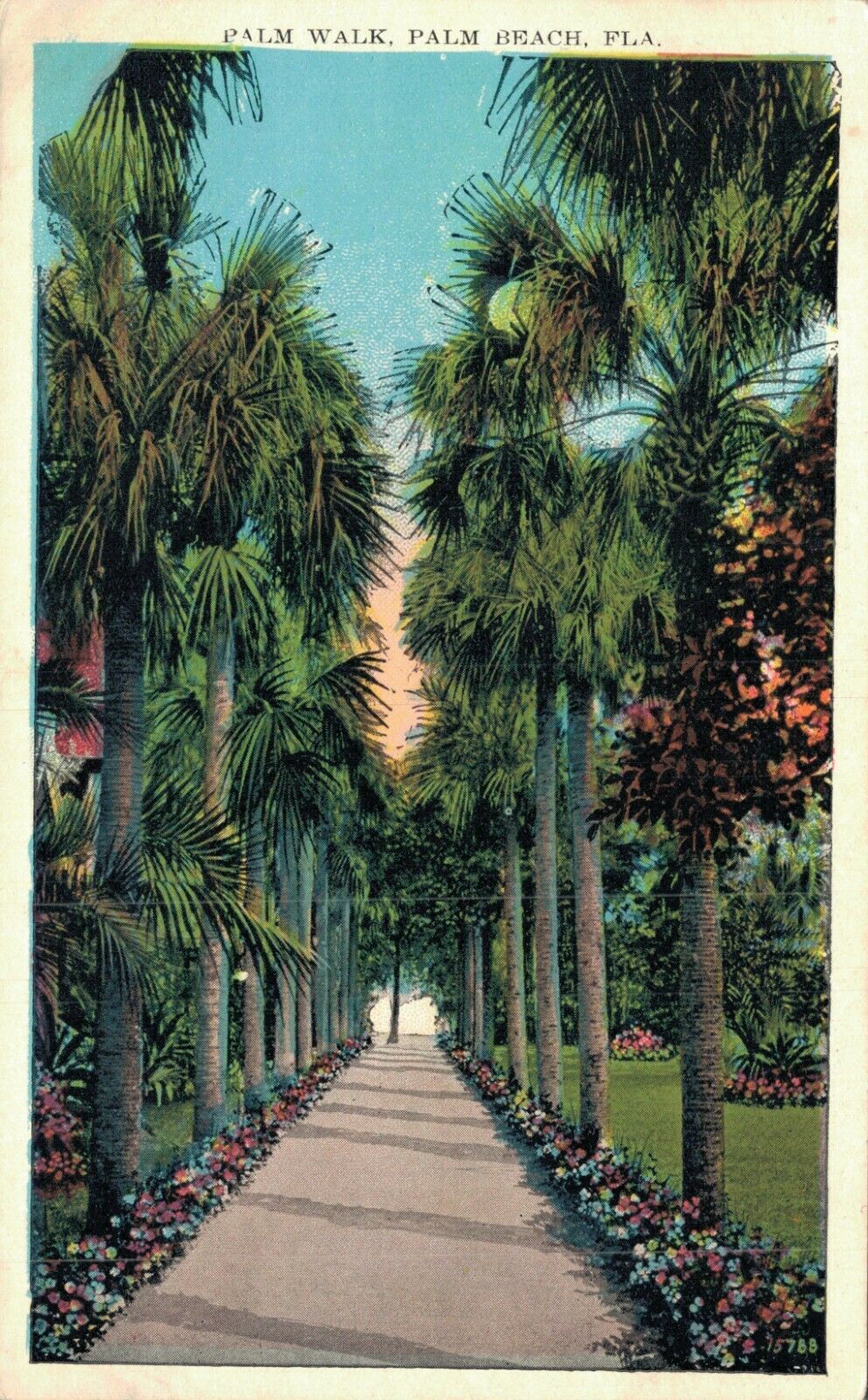 USA Palm Walk Palm Beach Florida Vintage Postcard 07.59 | United States ...