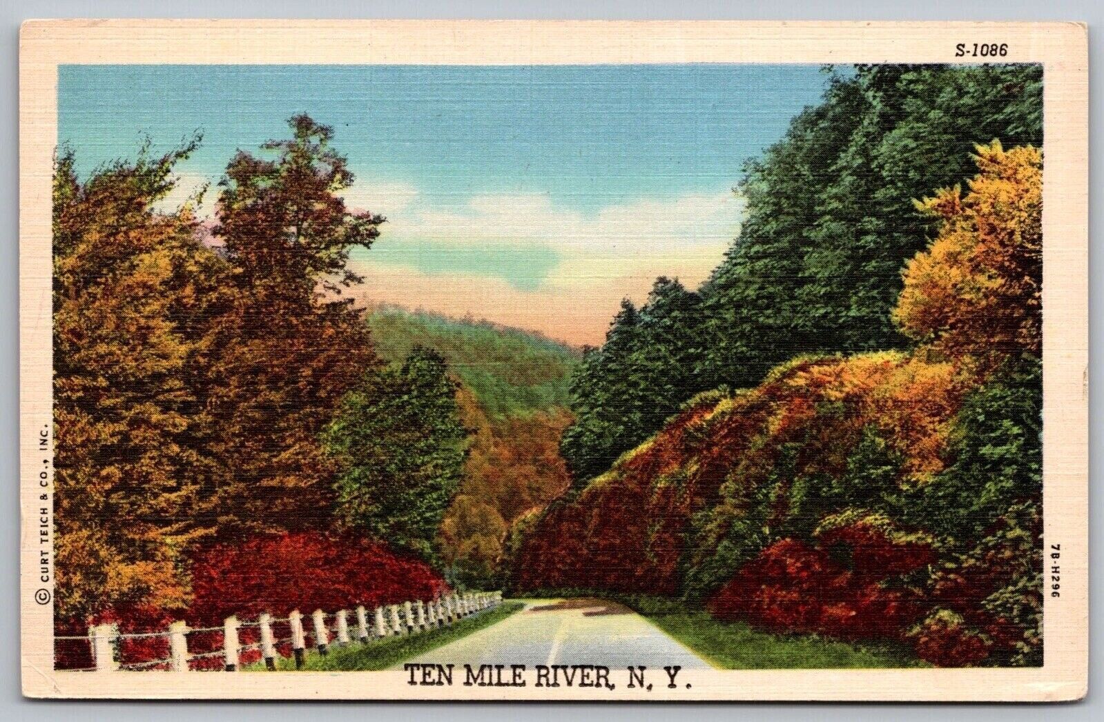 Ten Mile River New York Forest Mountains Fall Autumn Country Road VNG ...