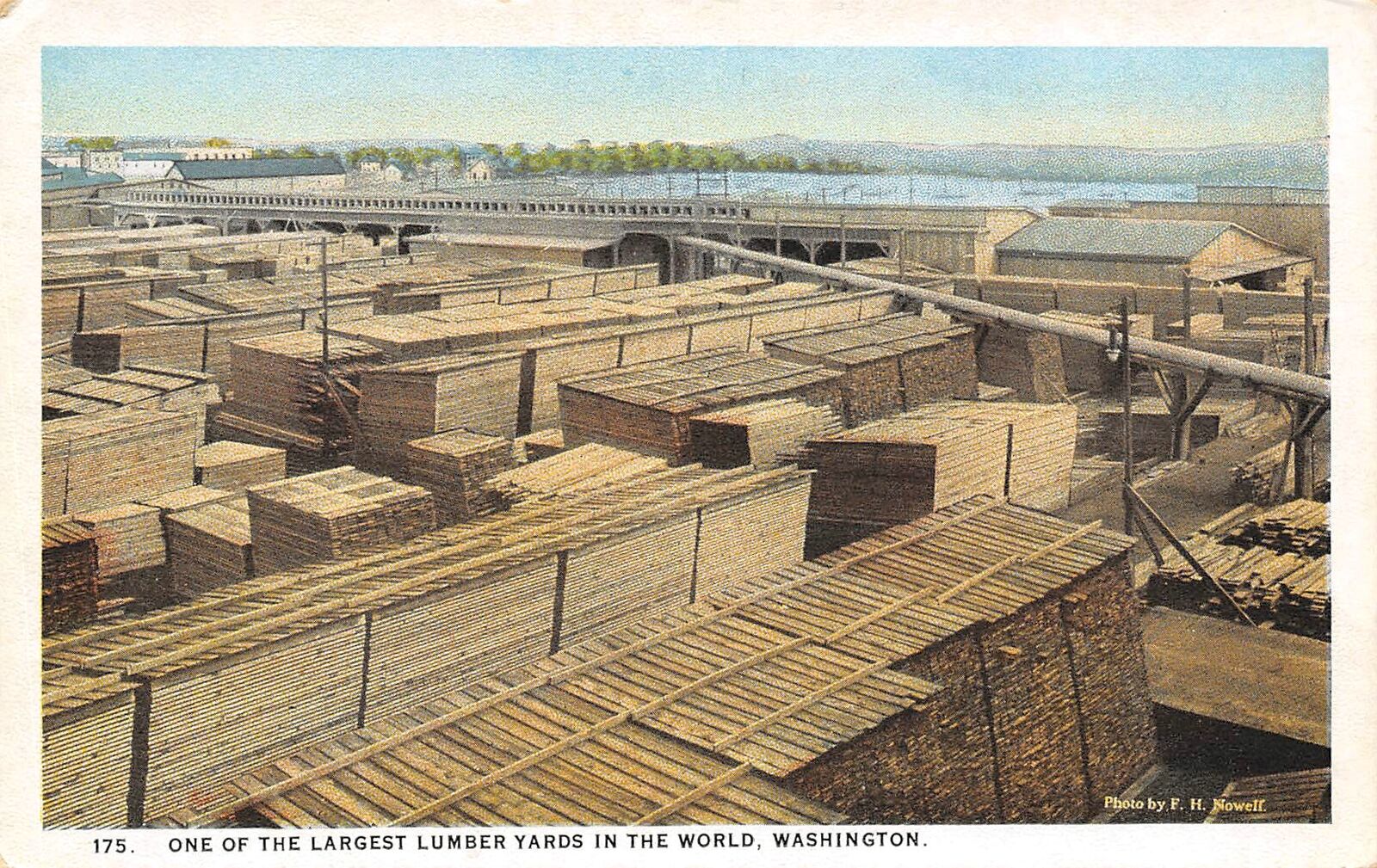 Lumber Yard One of Largest in World Washington 1920s postcard | United ...