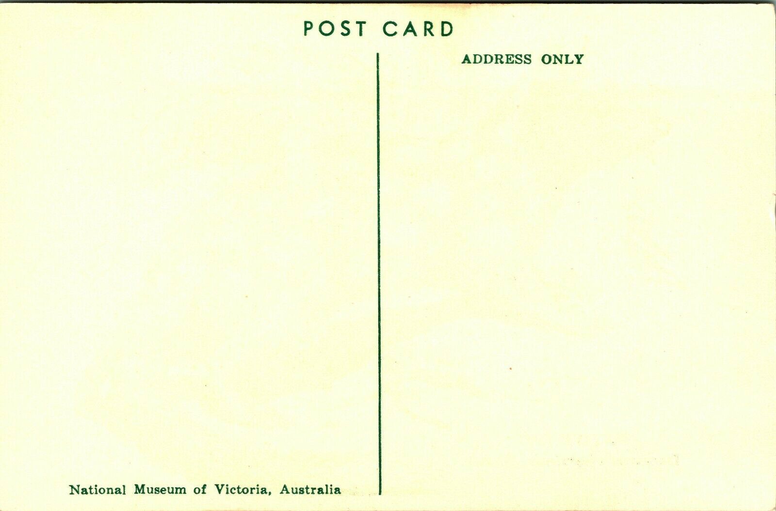 Native Cat (Shaw) National Museum of Victoria Australia Postcard UNP ...