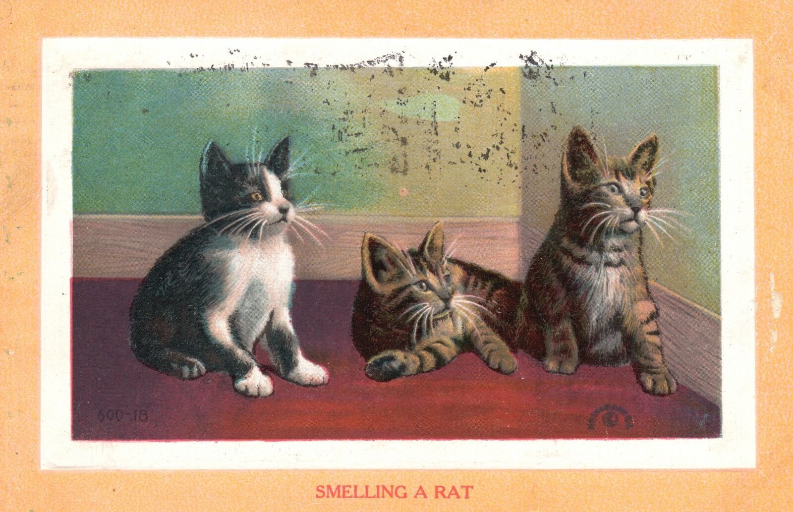 Vintage Postcard 1911 Portrait of Three Cute Cat Kitten Smelling A Rat ...