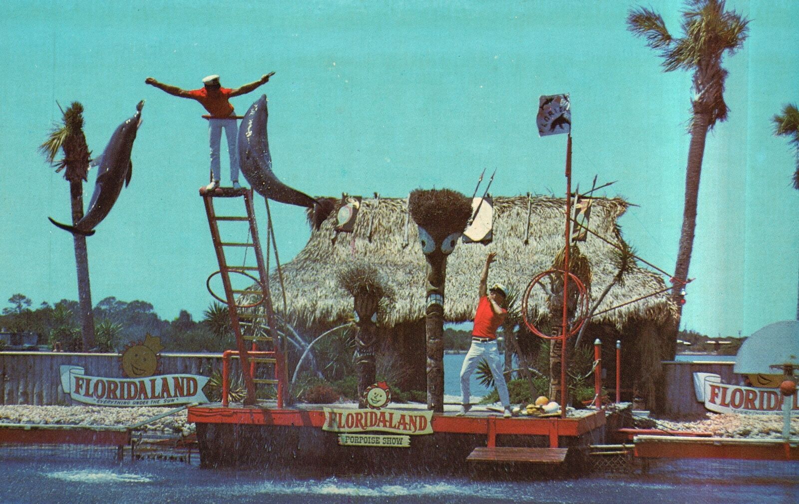 Vintage Postcard Amazing Double High Jump World's Most Unusual Porpoise ...