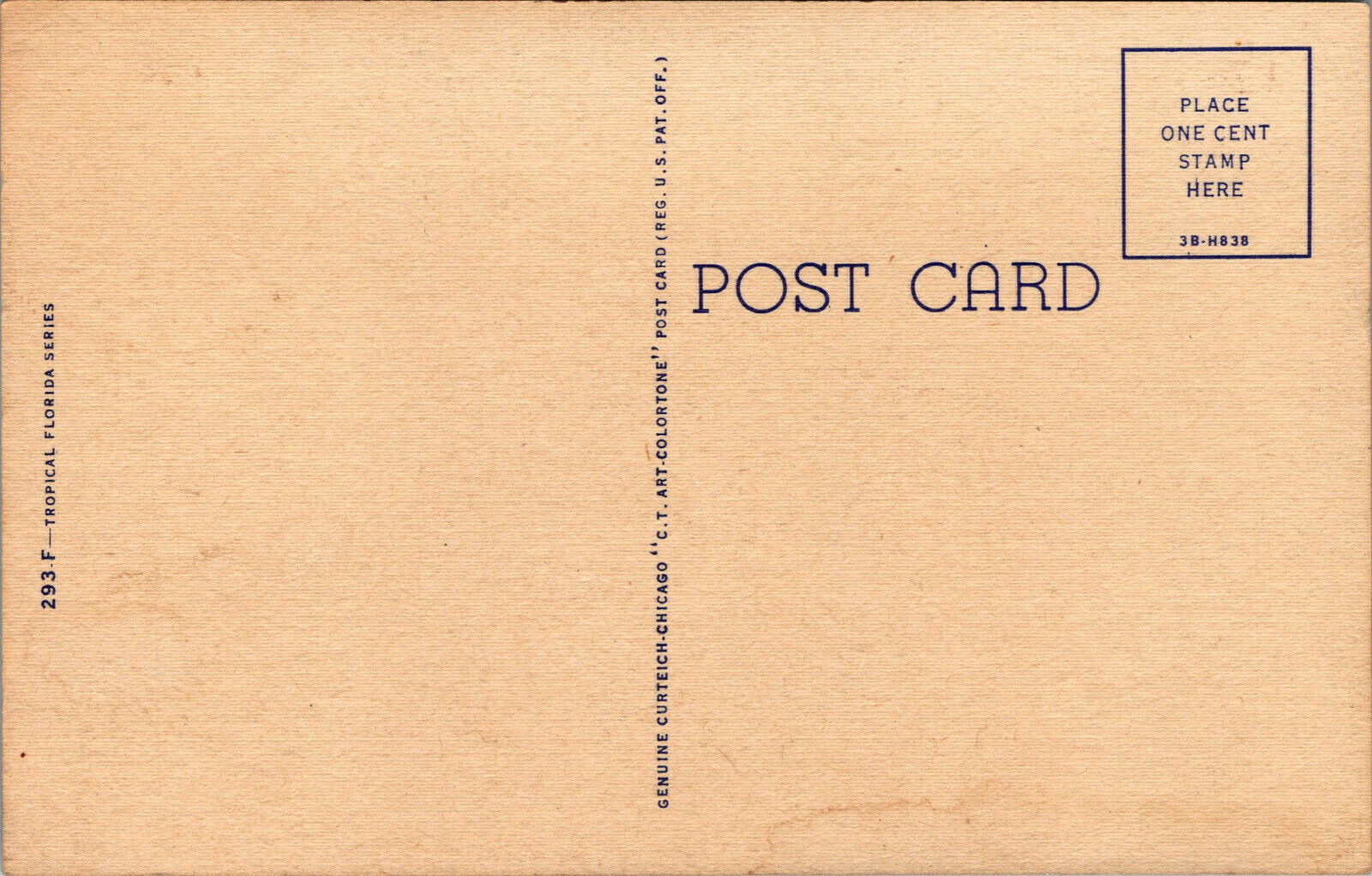 Vtg 1940's One Of The Largest & Oldest Oak Trees In Florida FL Linen ...