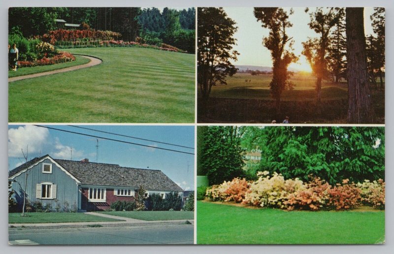Salem Oregon~Highland Colonial Bentgrass~4 Views Bentgrass Beauty ...