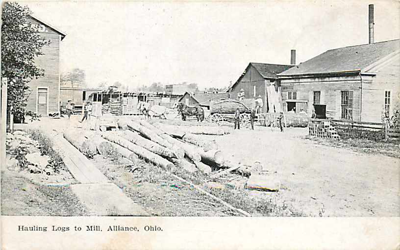 OH, Alliance, Ohio, Hauling Logs To Saw Mill, Logging, 1910 PM | United ...