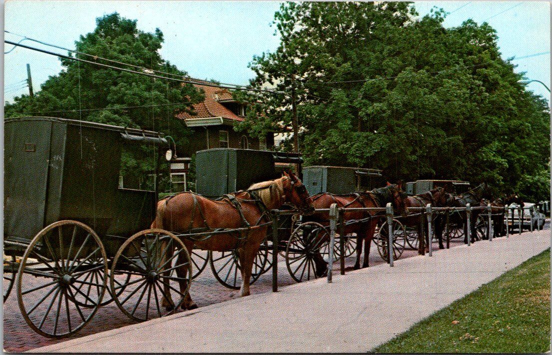 Ohio Amish Country Millersburg Amish Buggies At Parking Meters | United ...