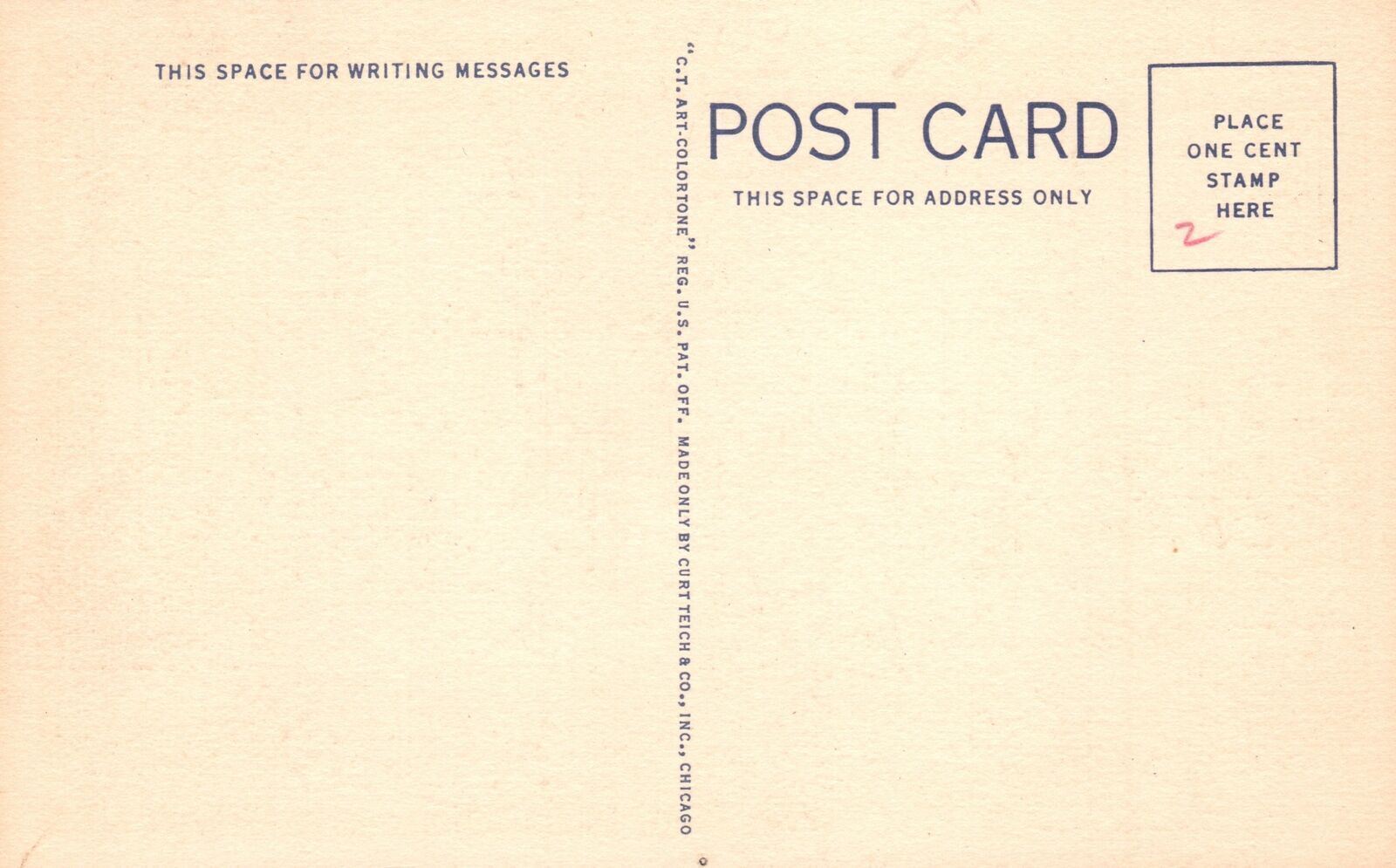 Vintage Postcard Library And Park Palm Trees On Ground Landscape Tucson ...