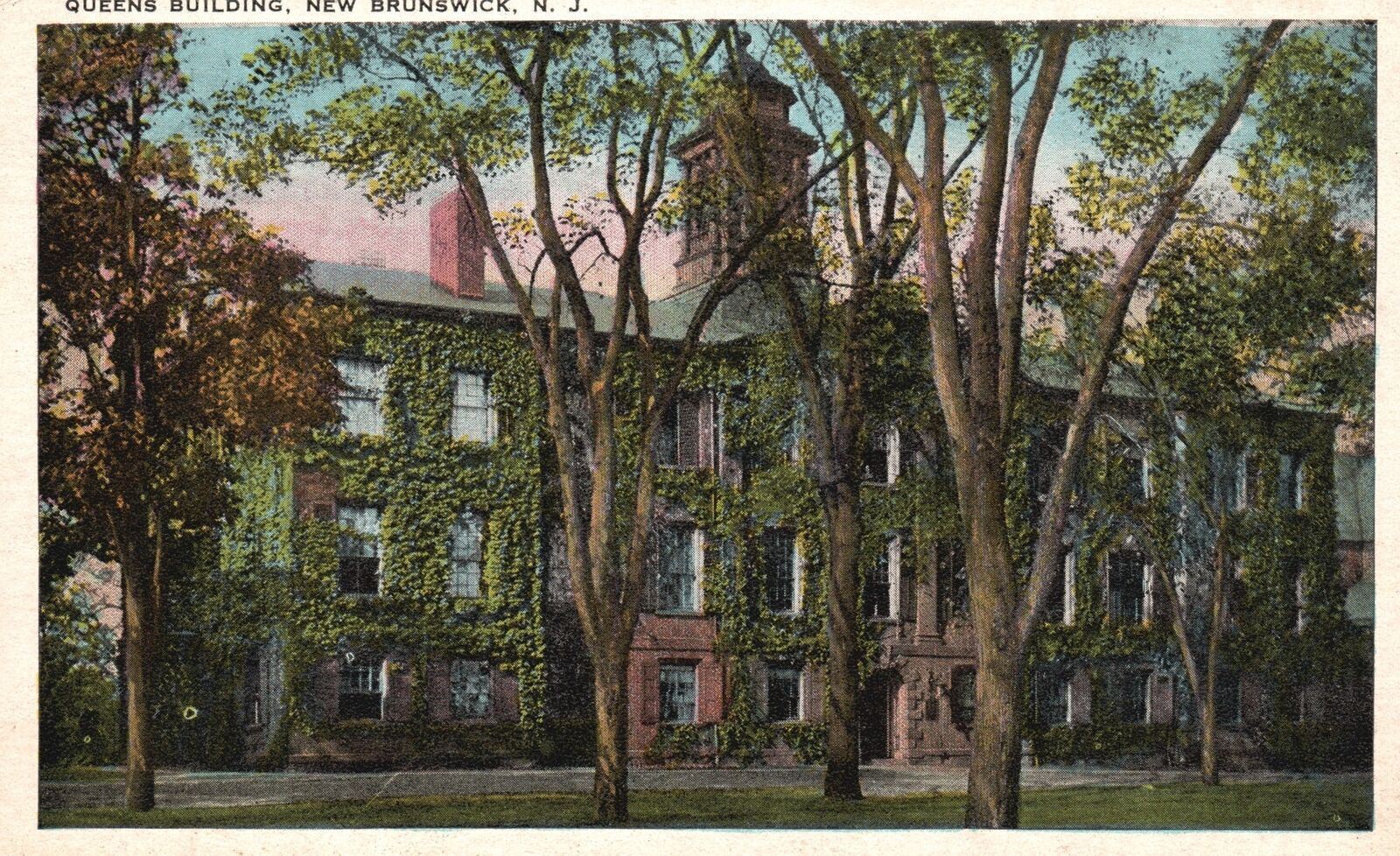Vintage Postcard Queens Building Along Pine Trees New Brunswick New ...