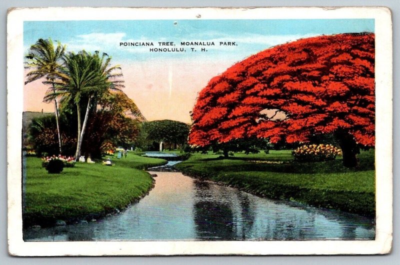 Hawaiian Postcard - Poinciana Tree, Moanalua Park, Honolulu Hawaii ...