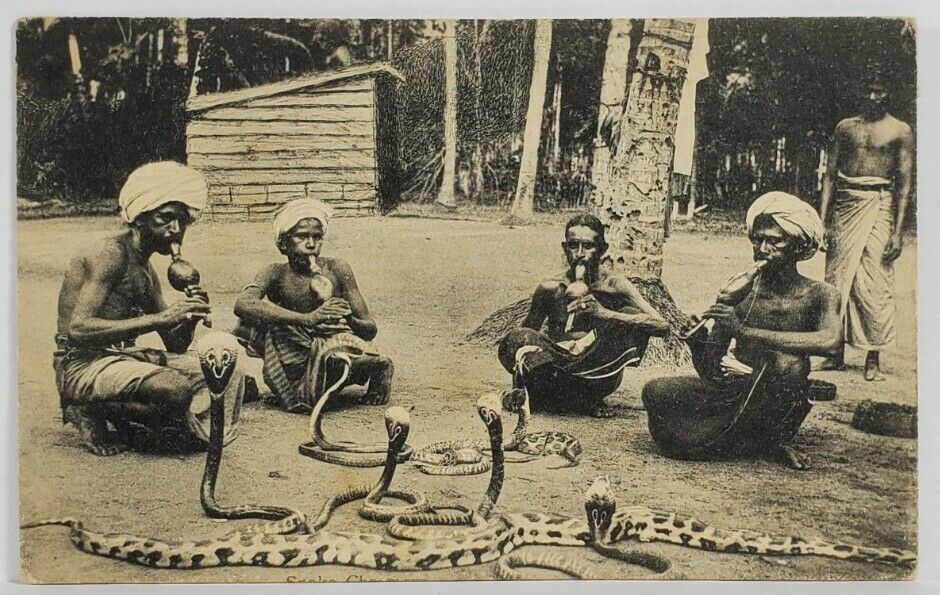 Colombo Ceilán encantadores de serpiente Sri Lanka imagen Real Postal ...