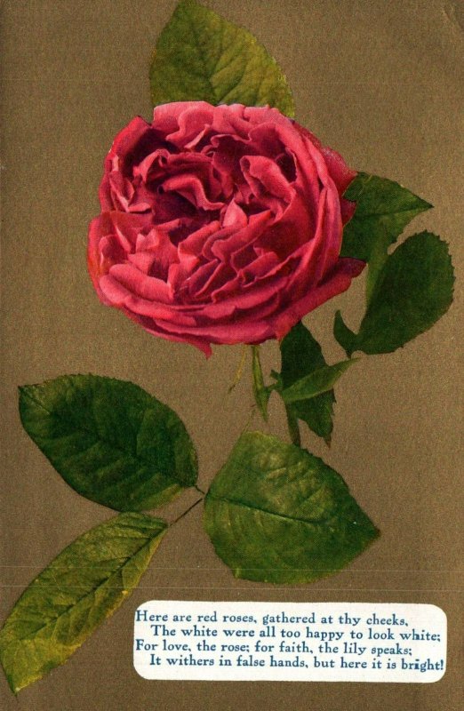 Vintage Postcard-Early 1900s-Rose-Flower-Poem | Other / Unsorted ...