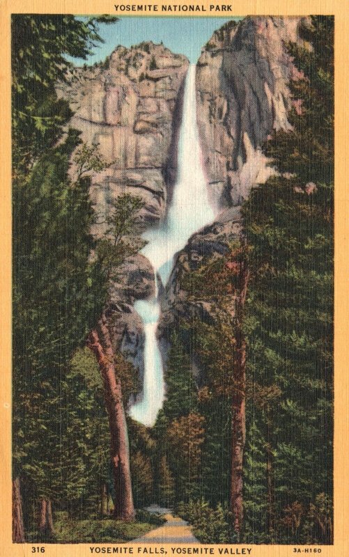 Vintage Postcard Yosemite National Park Falls Valley Cataract Sierras ...