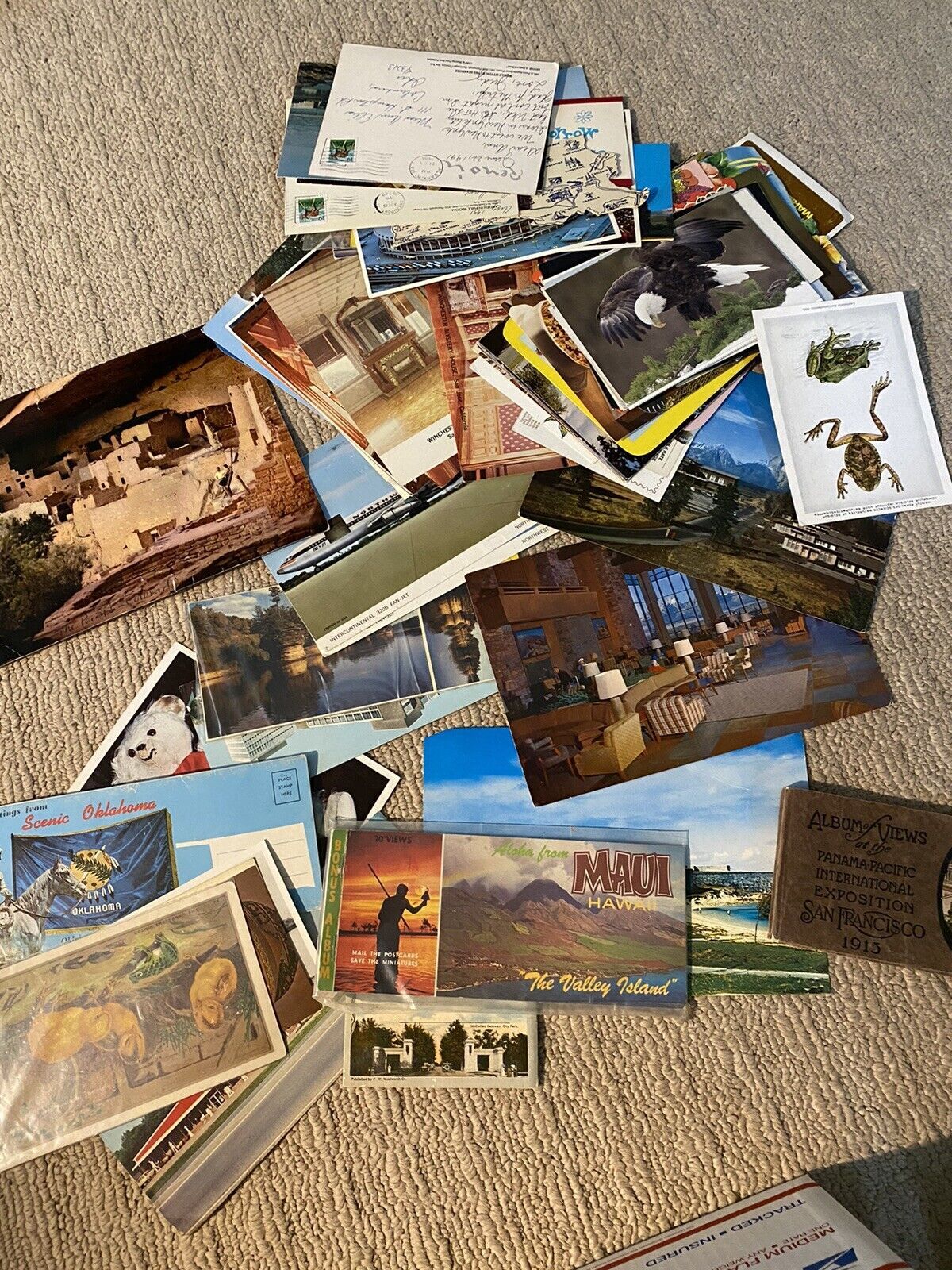 5-Pound Box of Giant Vintage Postcards Collection extra Large Folders ...