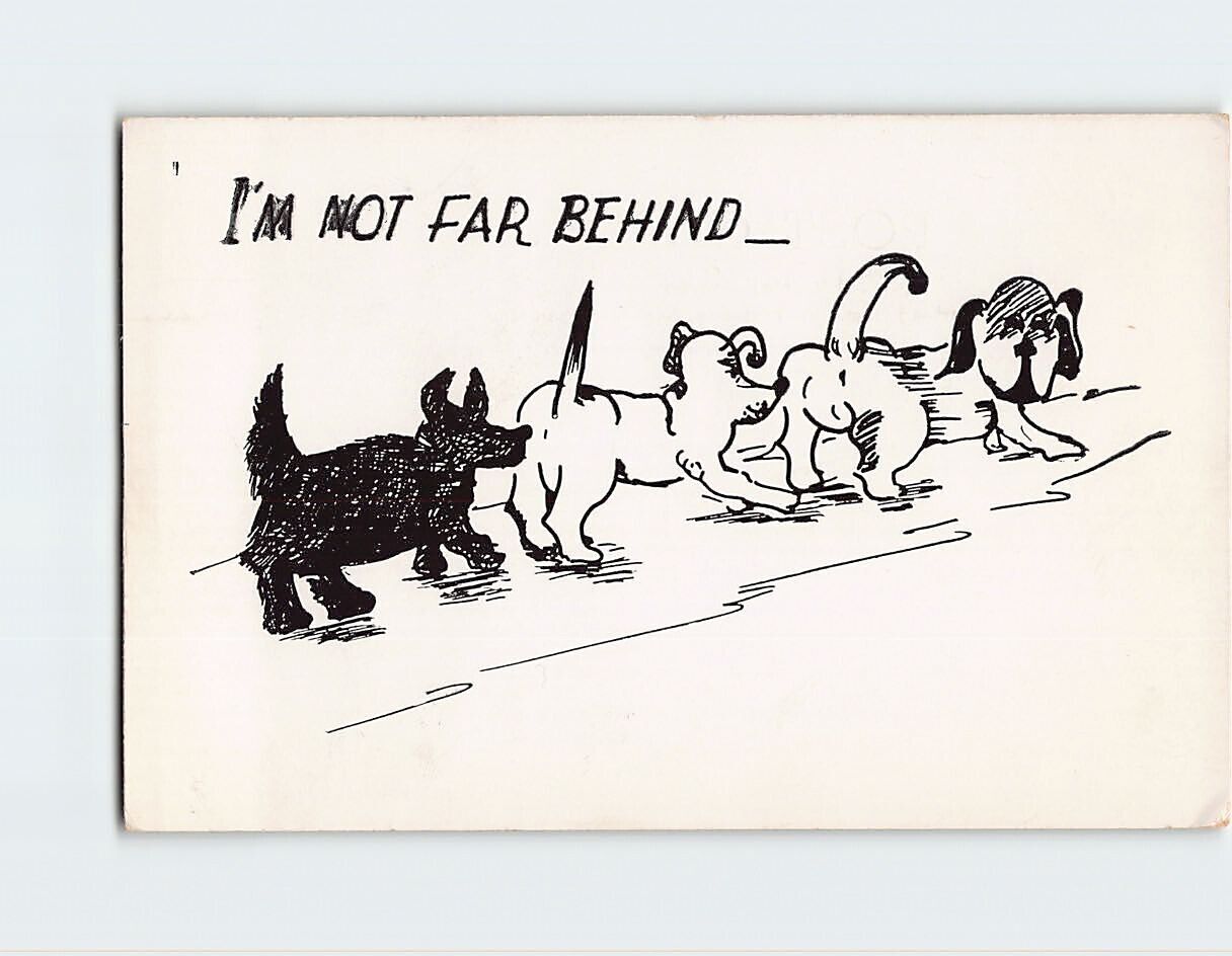Postcard I'm Not Far Behind with Dogs Comic Art Print | Other ...