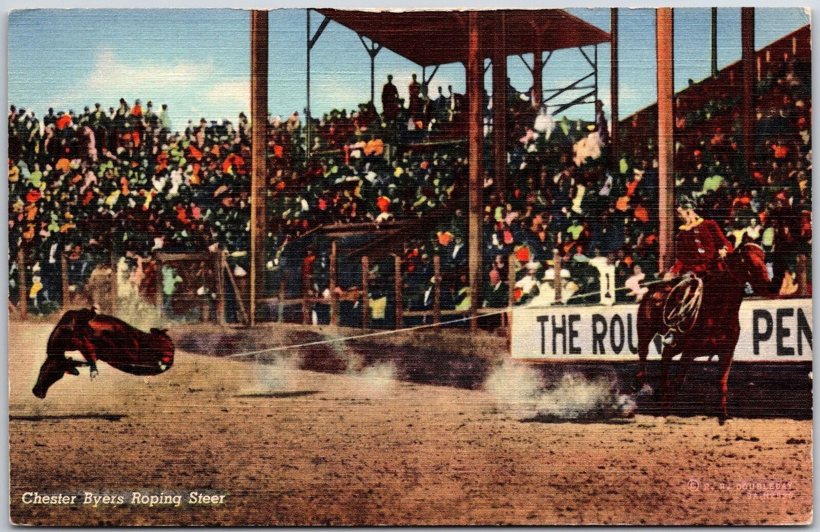 Chester Byers Roping Steer World's Champion Rodeo Postcard | Other ...