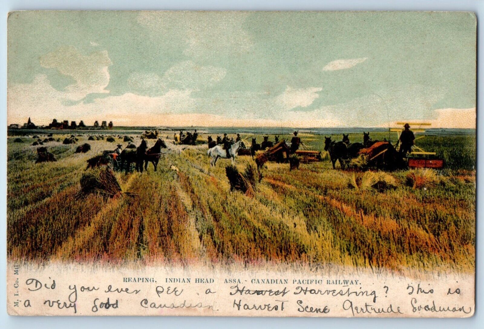 1910 Canada Postcard Reaping Indian Head Assa Canadian Pacific Railway ...