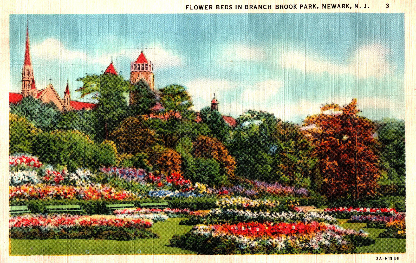 Vintage Postcard Flower Beds in Branch Brook Park Newark NJ Mailed NYC ...
