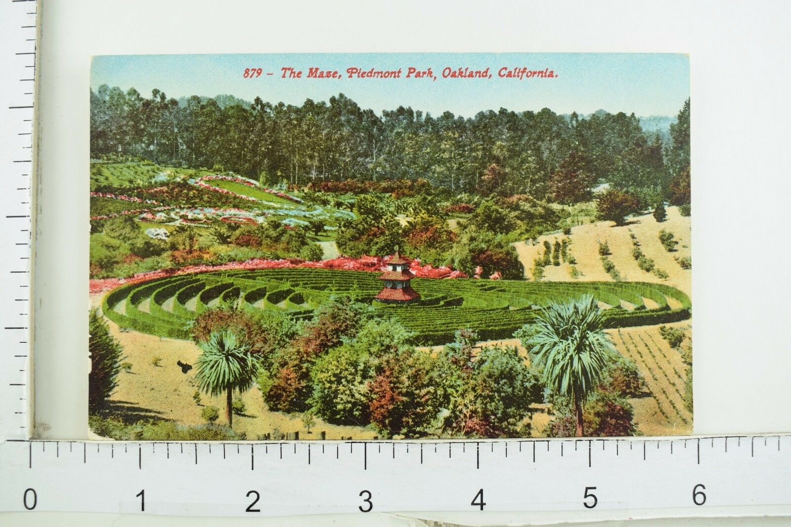 Vintage The Mase, Pledmont Park, Oakland, California Postcards P47 ...