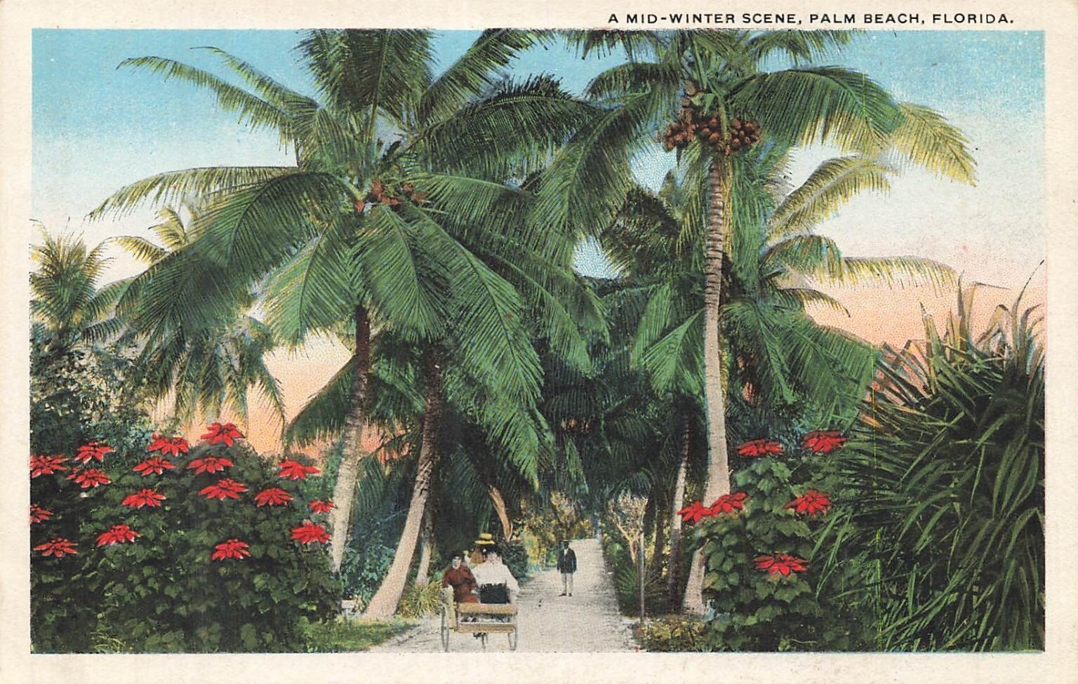 Palm Beach Florida Mid-Winter Scene Vintage Postcard H&WB Co. Unposted ...