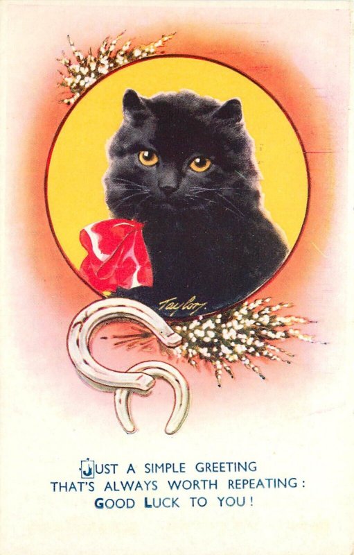 Bamforth Good Luck Comic Postcard 902. Black Cat w/ Red Bow Horseshoes ...