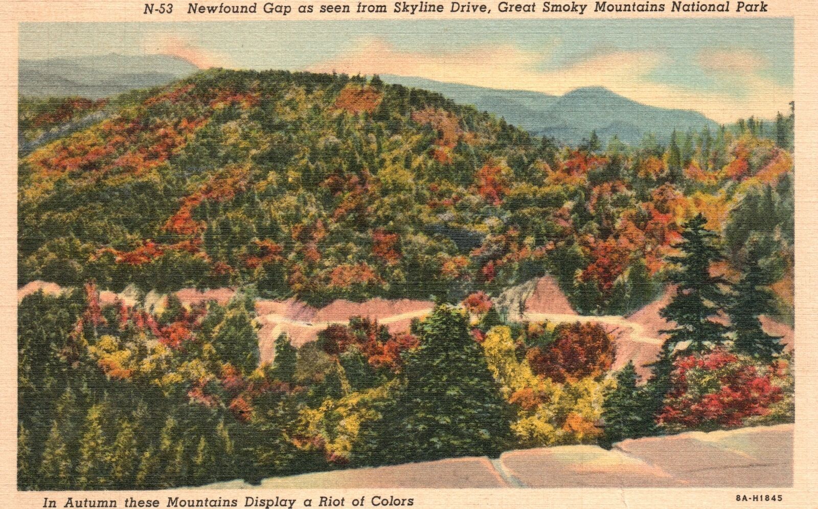 Vintage Postcard 1939 Newfound Gap Skyline Dr. Great Smoky Mountain Nat ...