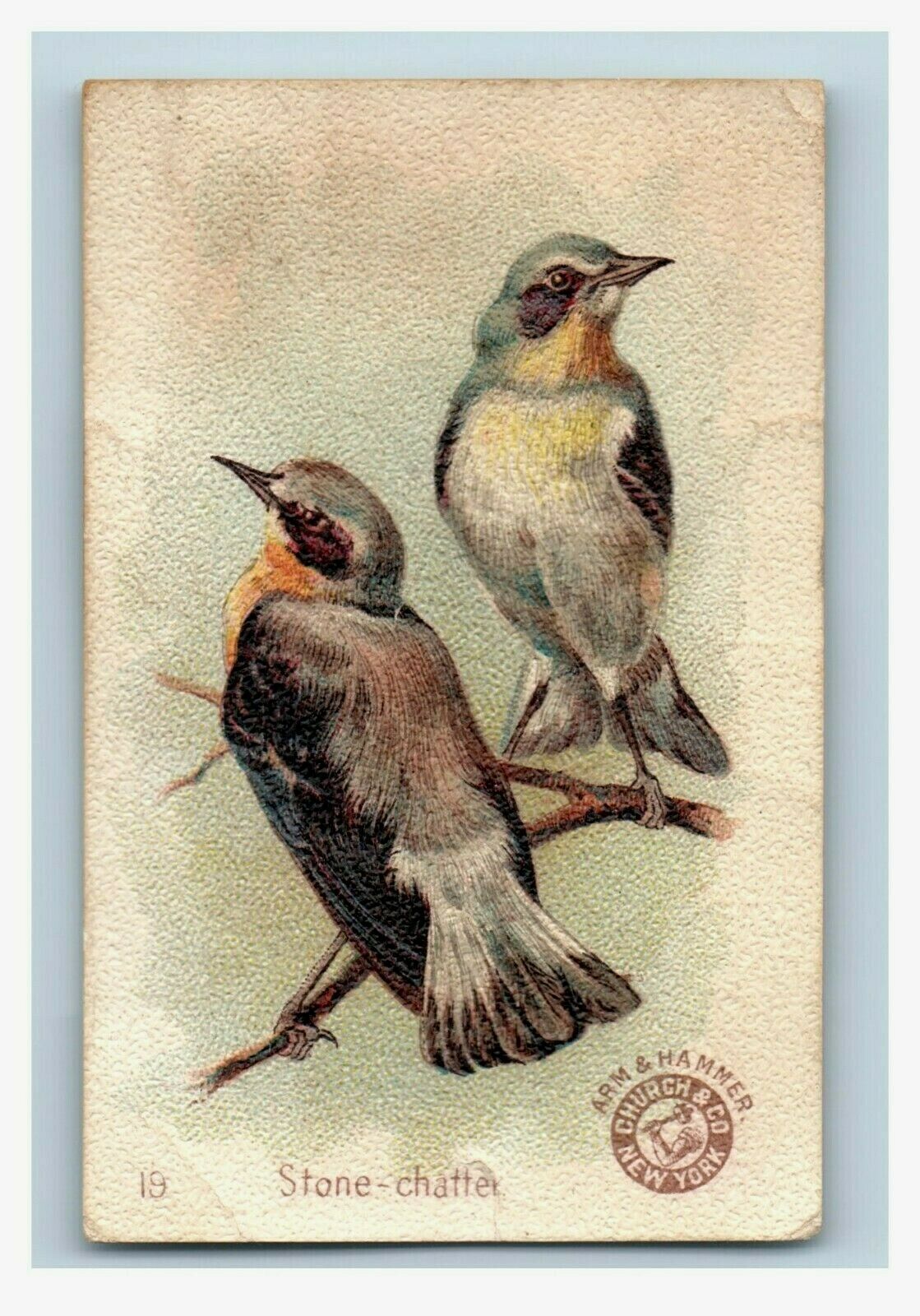 1880s-90s Arm & Hammer Beautiful Birds Series N0.19 Stone Chatter P210 ...