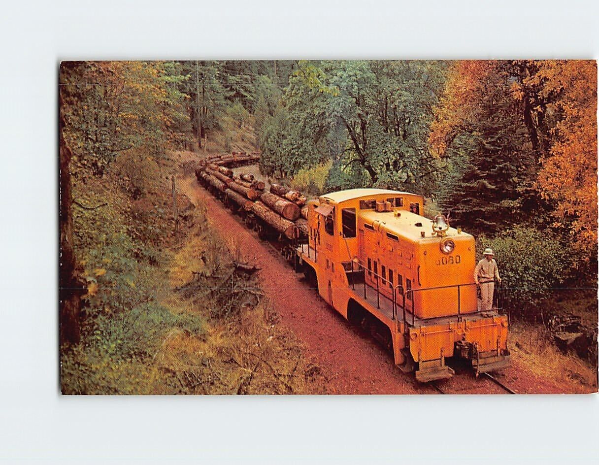 Postcard Log Train Logging Scene in the Pacific Northwest | Other ...