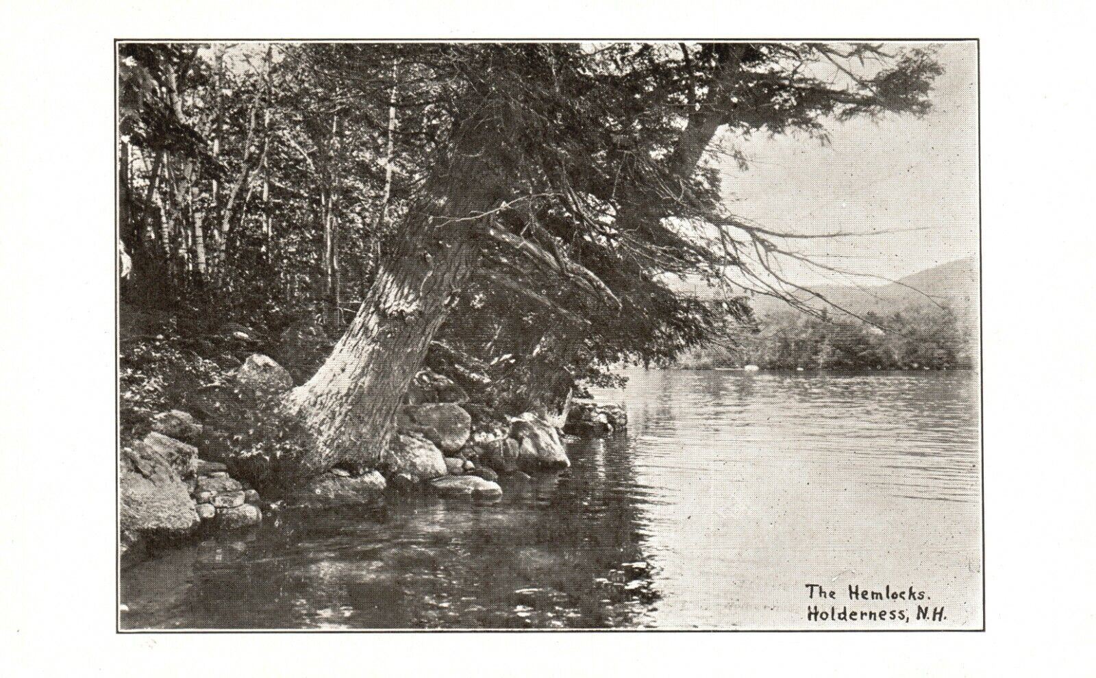The Hemlocks Along River Water Holderness New Hampshire Vintage ...
