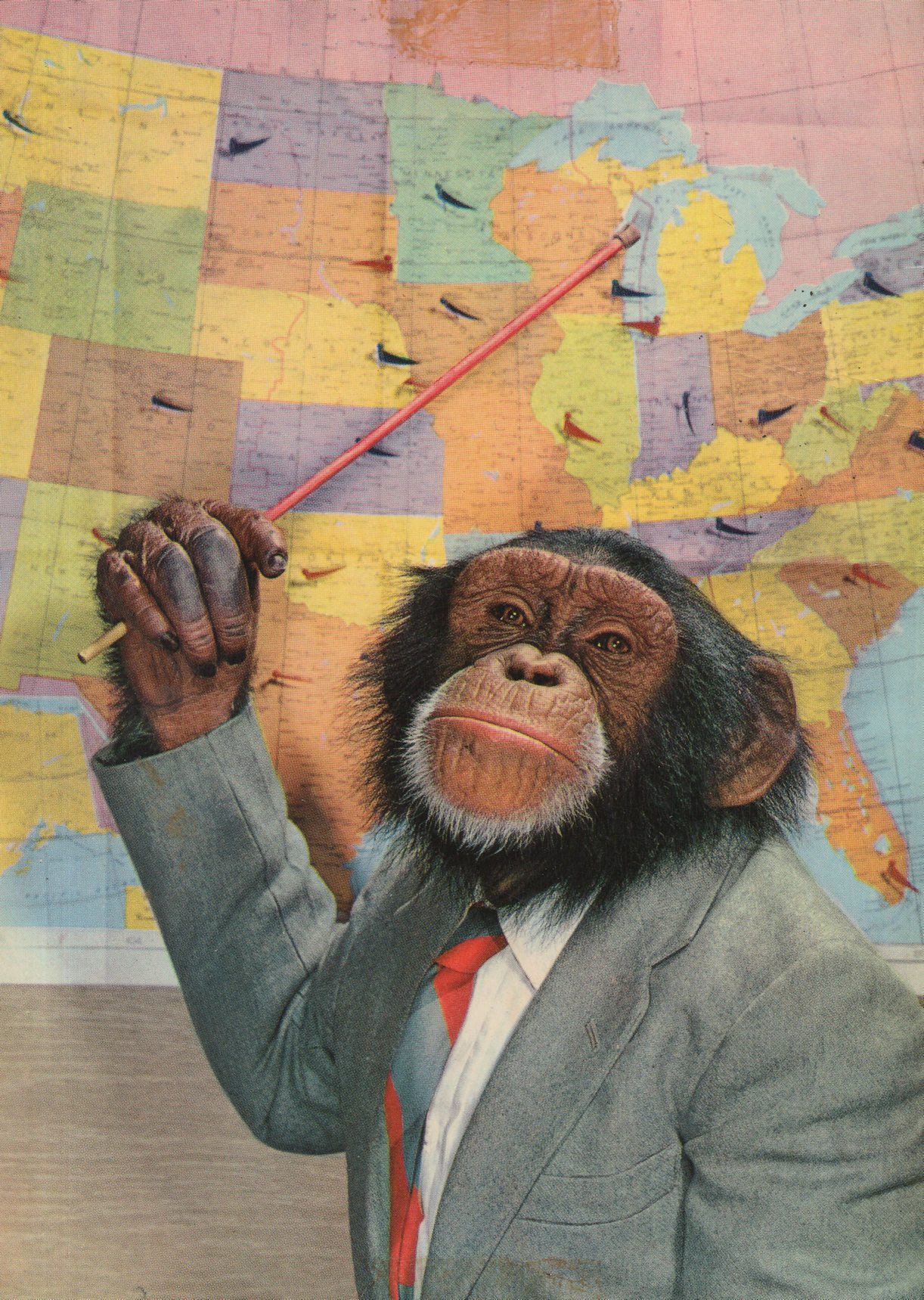 Chimpanzee As Geography Teacher Map Worn Rare 1960s Postcard | Topics ...