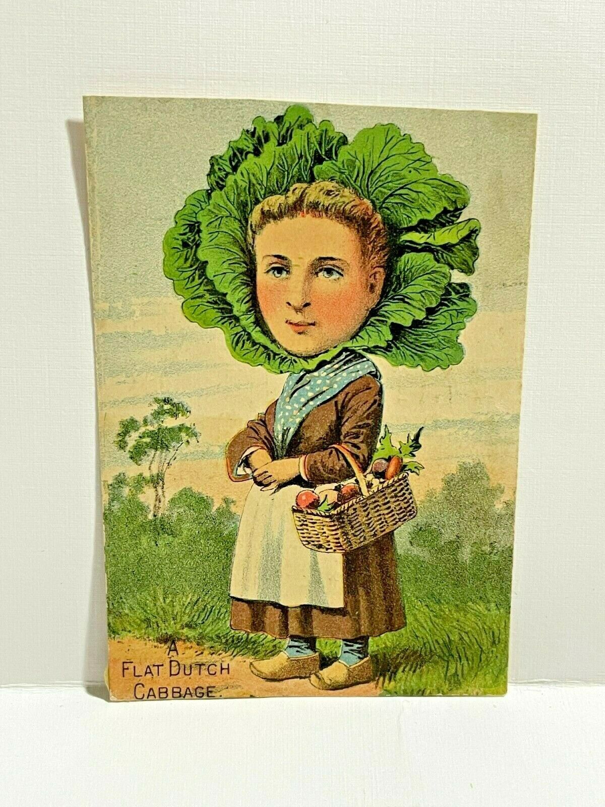 1880s Flat Dutch Cabbage Lady w/ Cabbage Head Horse Manure Ad New York ...